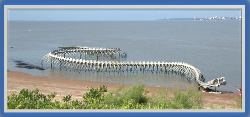 Le Serpent de Mer a Midin